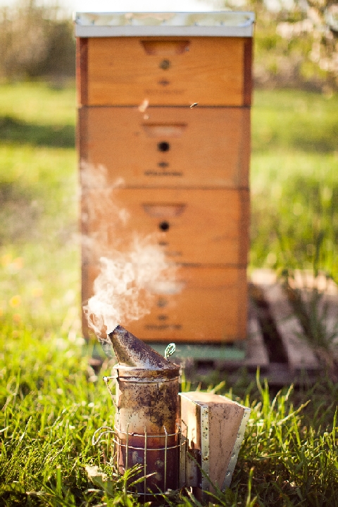Včelovina – Slovakia’s deluxe mead – cookslovak