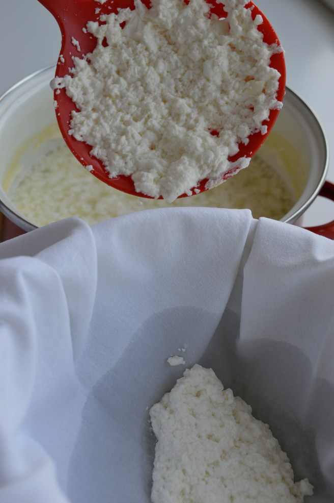 How to make your own cottage cheese | cookslovak