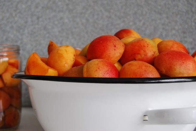 Preserving apricots | cookslovak