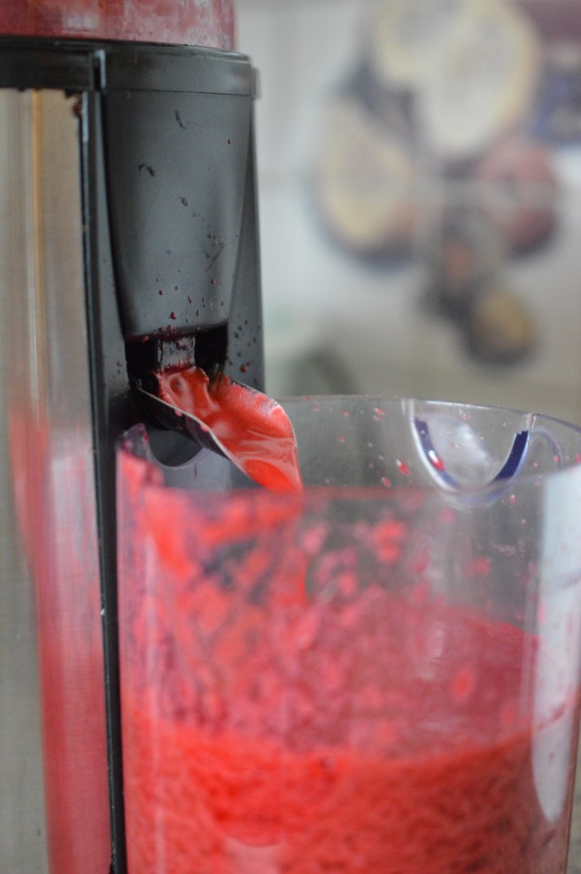 Homemade Redcurrant Syrup | cookslovak