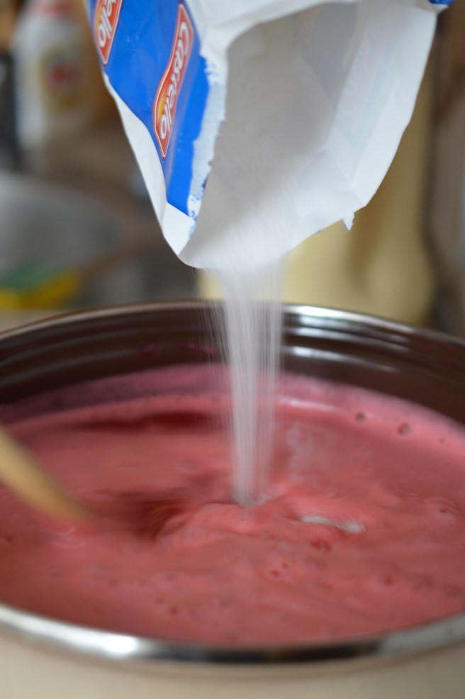 Homemade Redcurrant Syrup | cookslovak