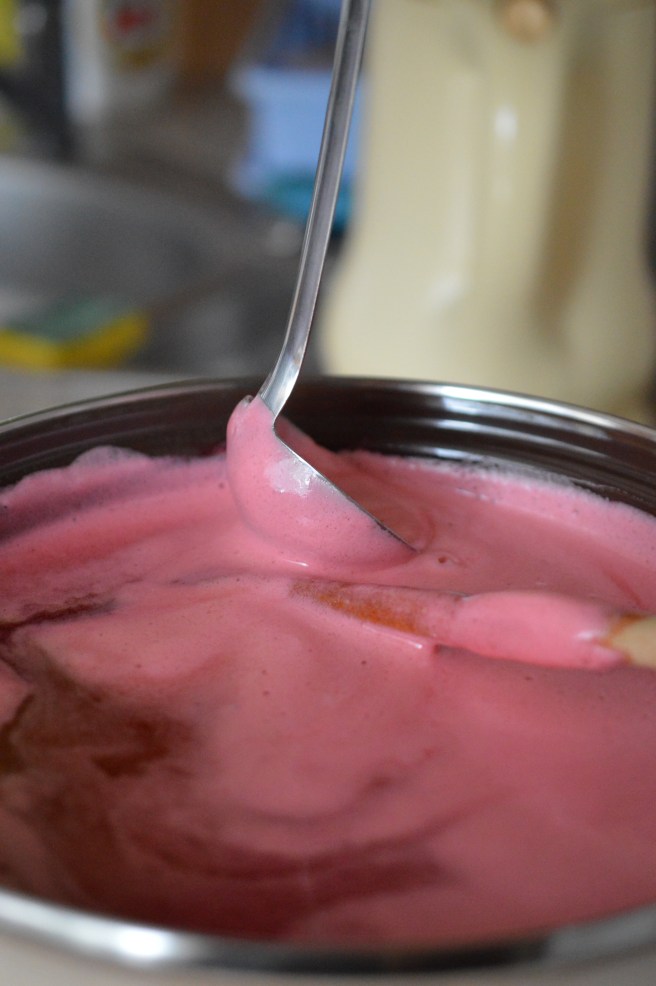 Homemade Redcurrant Syrup | cookslovak