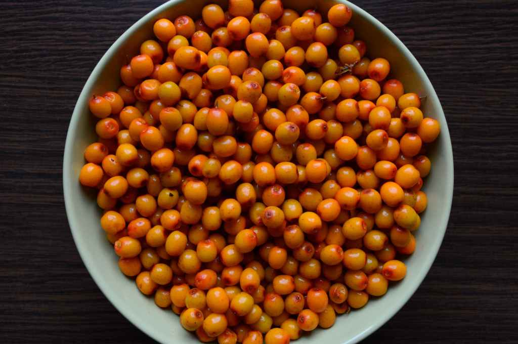Processing sea-buckthorn berries – cookslovak